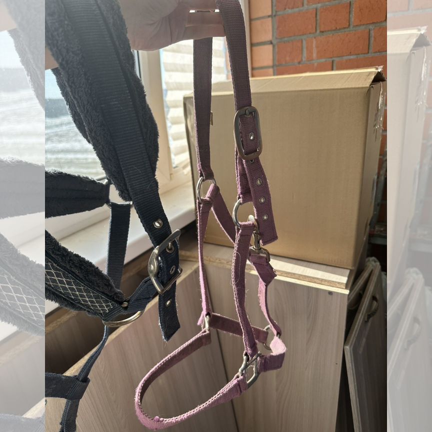 Недоуздок для лошади