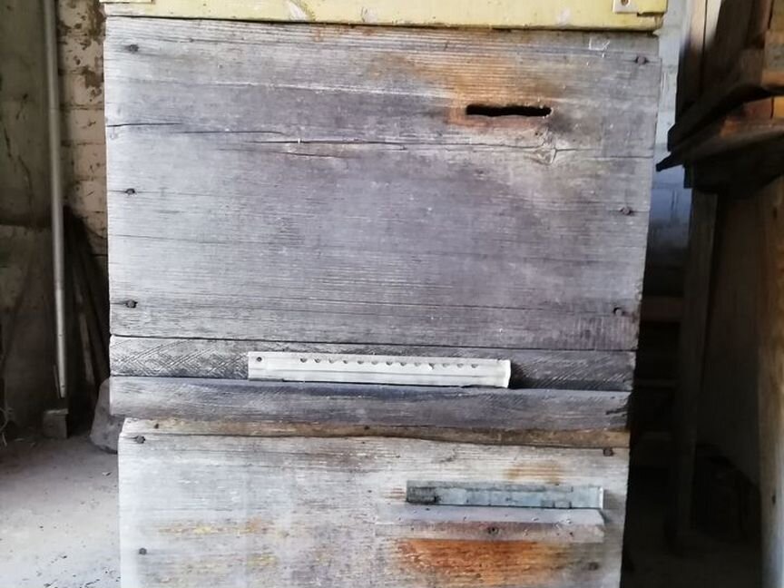 Ульи дадановские 12, 7 рамок, медогонку, сушь