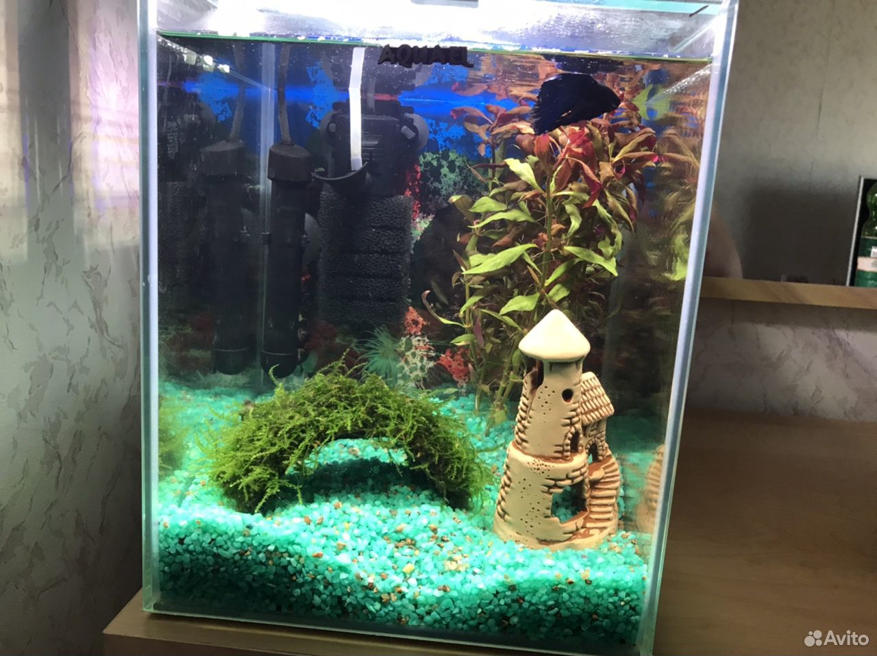 Аквариум/креветкарий aquael shrimp SET smart plant