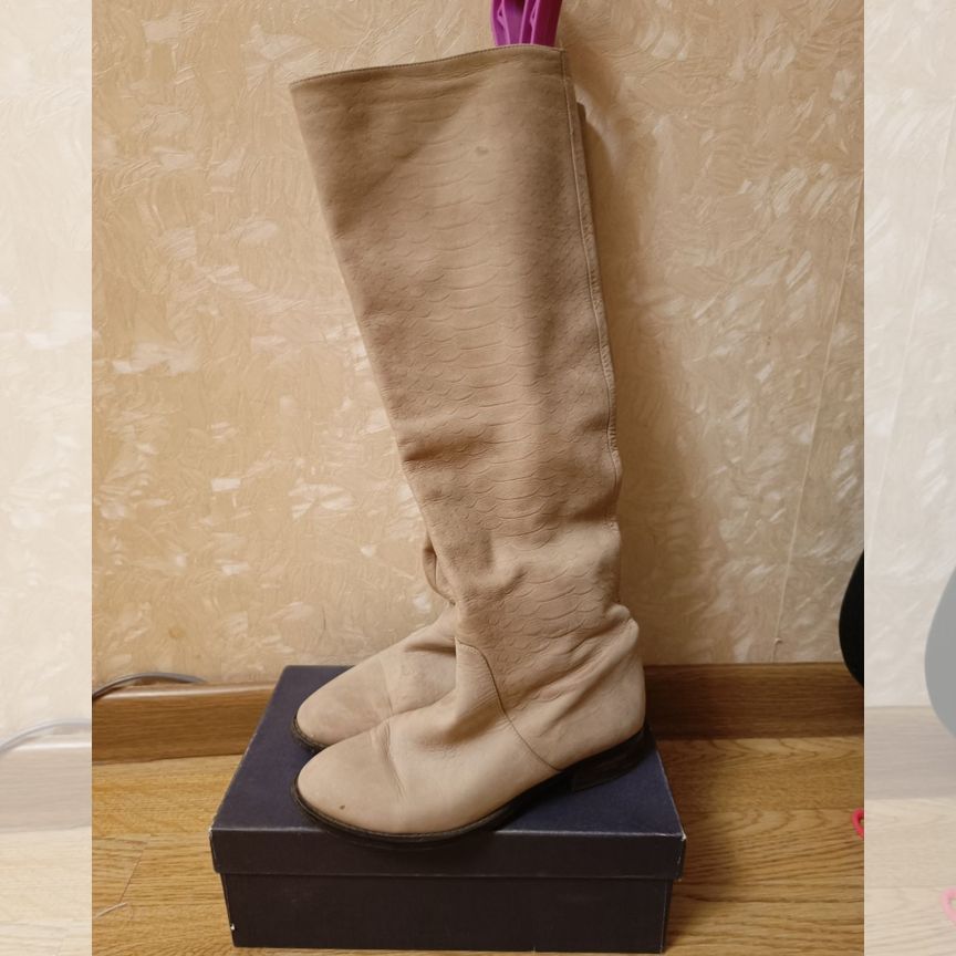 Сапоги graciana 36